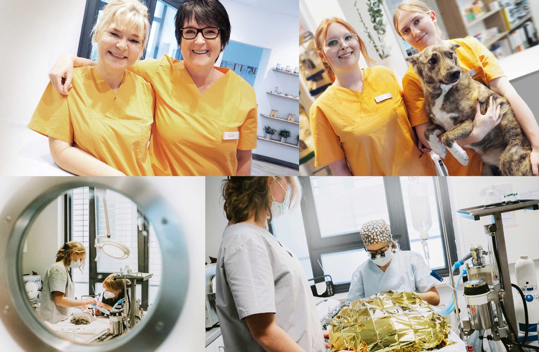 Die Praxis - Tierarztpraxis Dr. med. vet. Tanja Frey